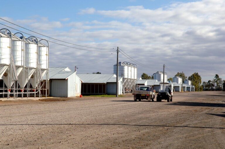 Chicken Meat Trade | AgriFutures Australia