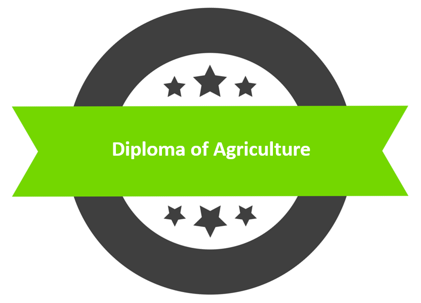 Diploma of Agriculture | Chicken Meat Extension