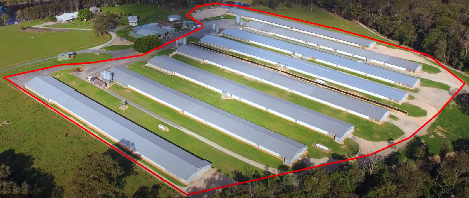 Biosecurity on poultry meat farms video | Chicken Meat Extension