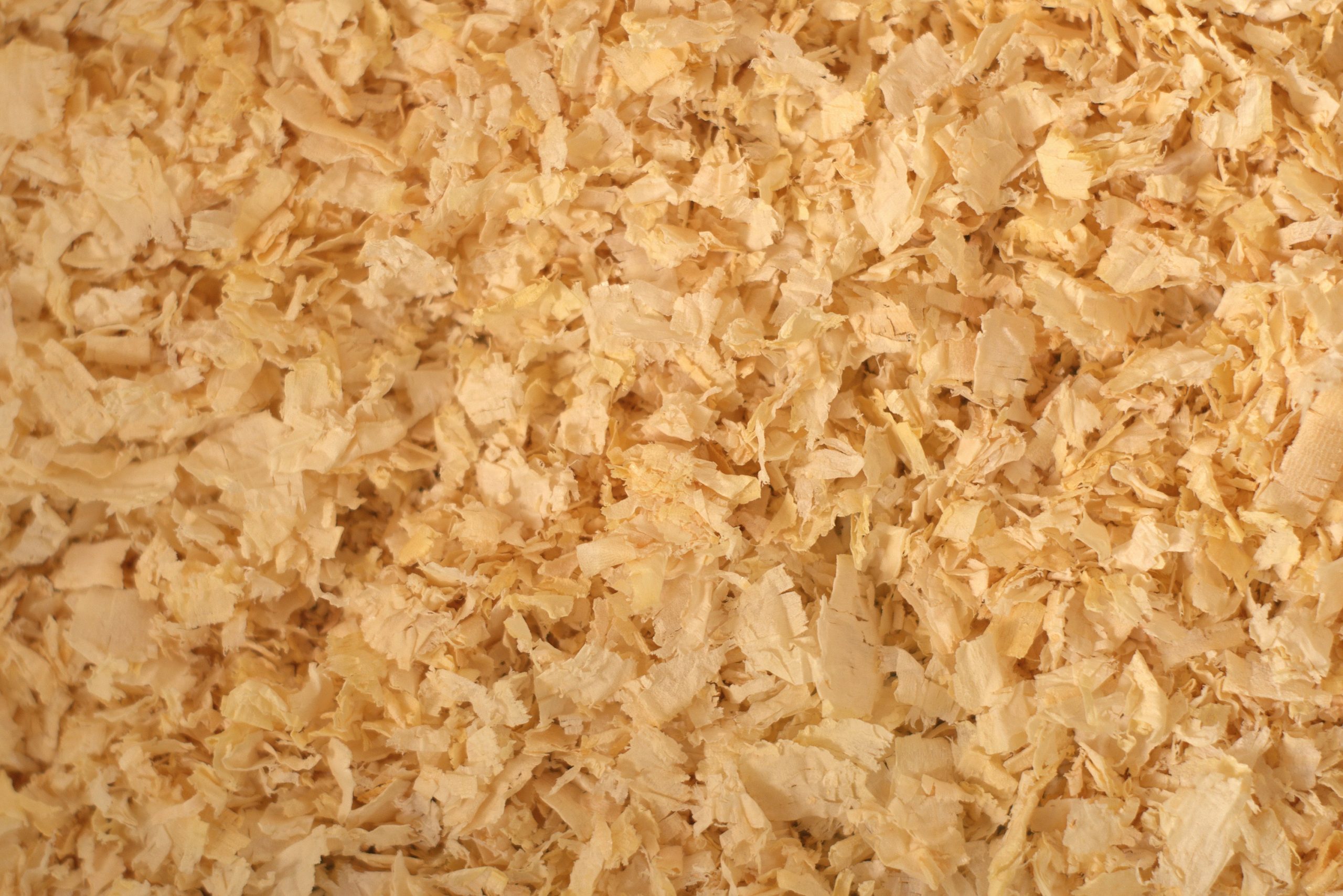 Pine shavings | Chicken Meat Trade