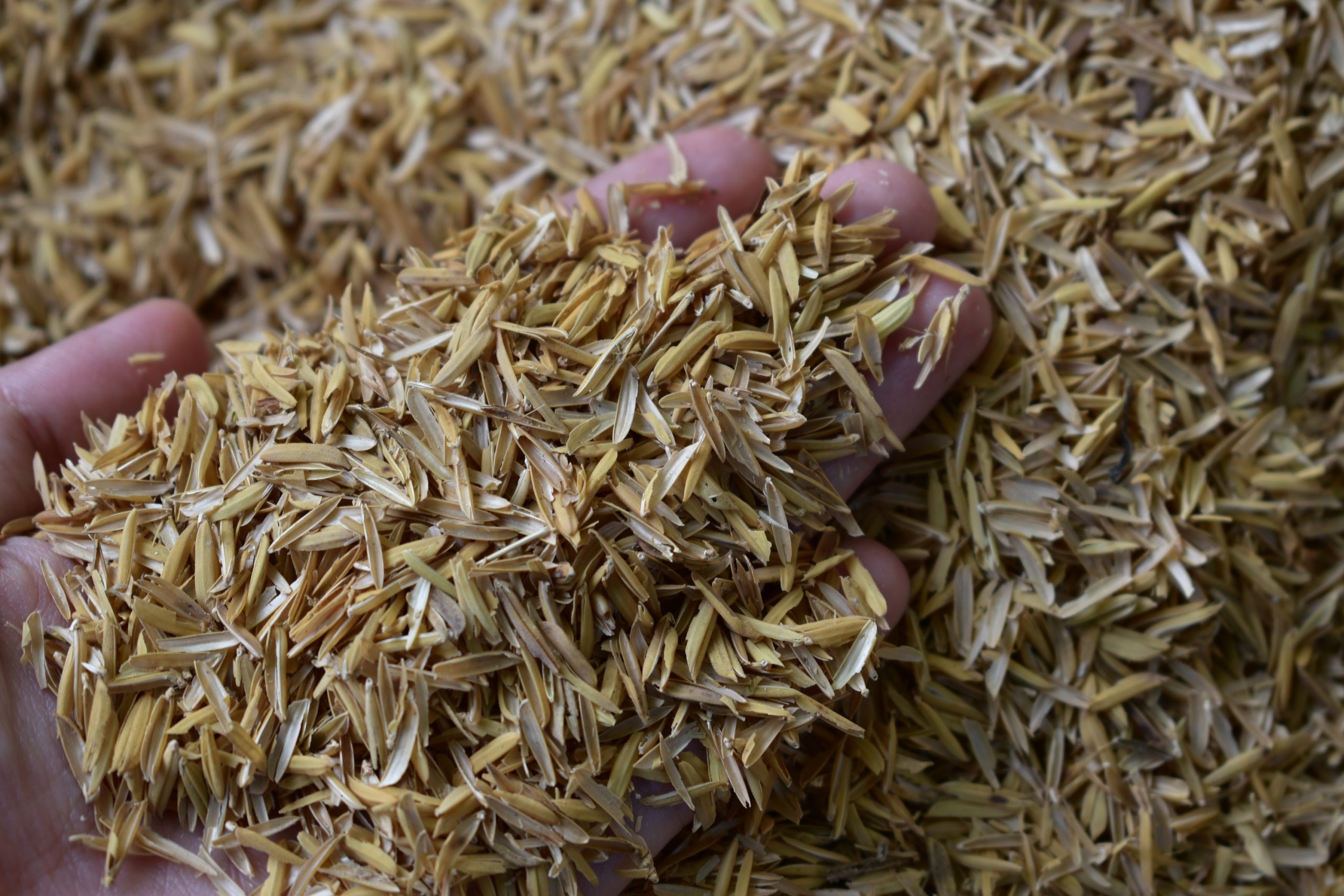 Rice hulls | Chicken Meat Trade