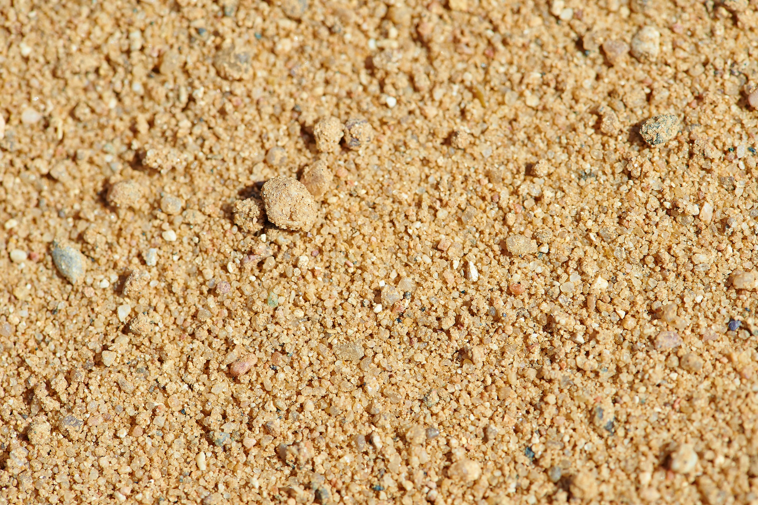Sand | Chicken Meat Trade