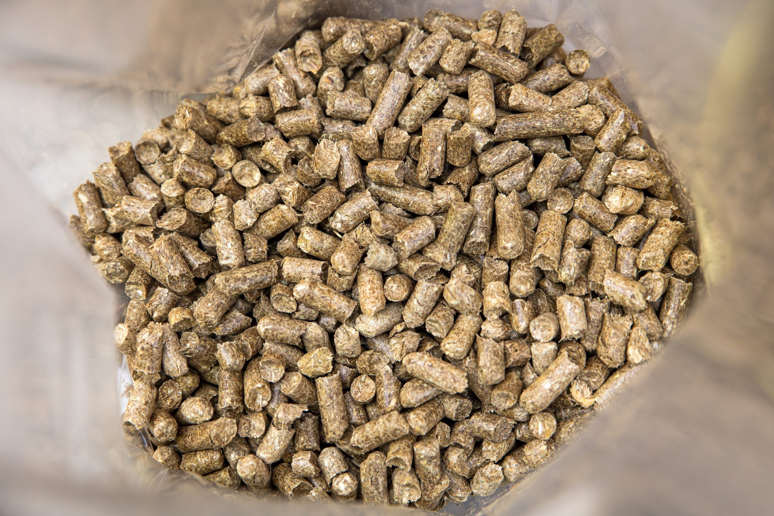 Straw pellets | Chicken Meat Trade