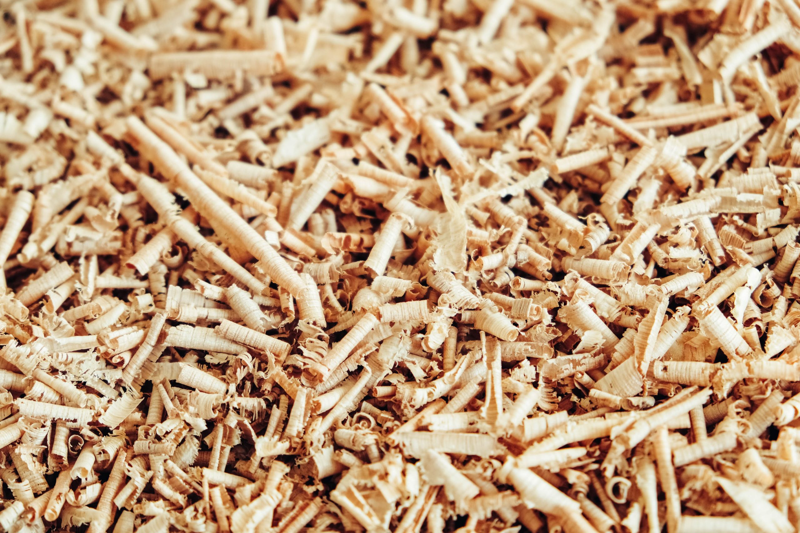 Wood shavings | Chicken Meat Trade