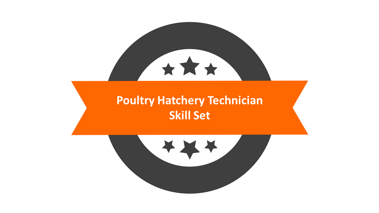 Poultry Hatchery Technician Skill Set | Chicken Meat Extension